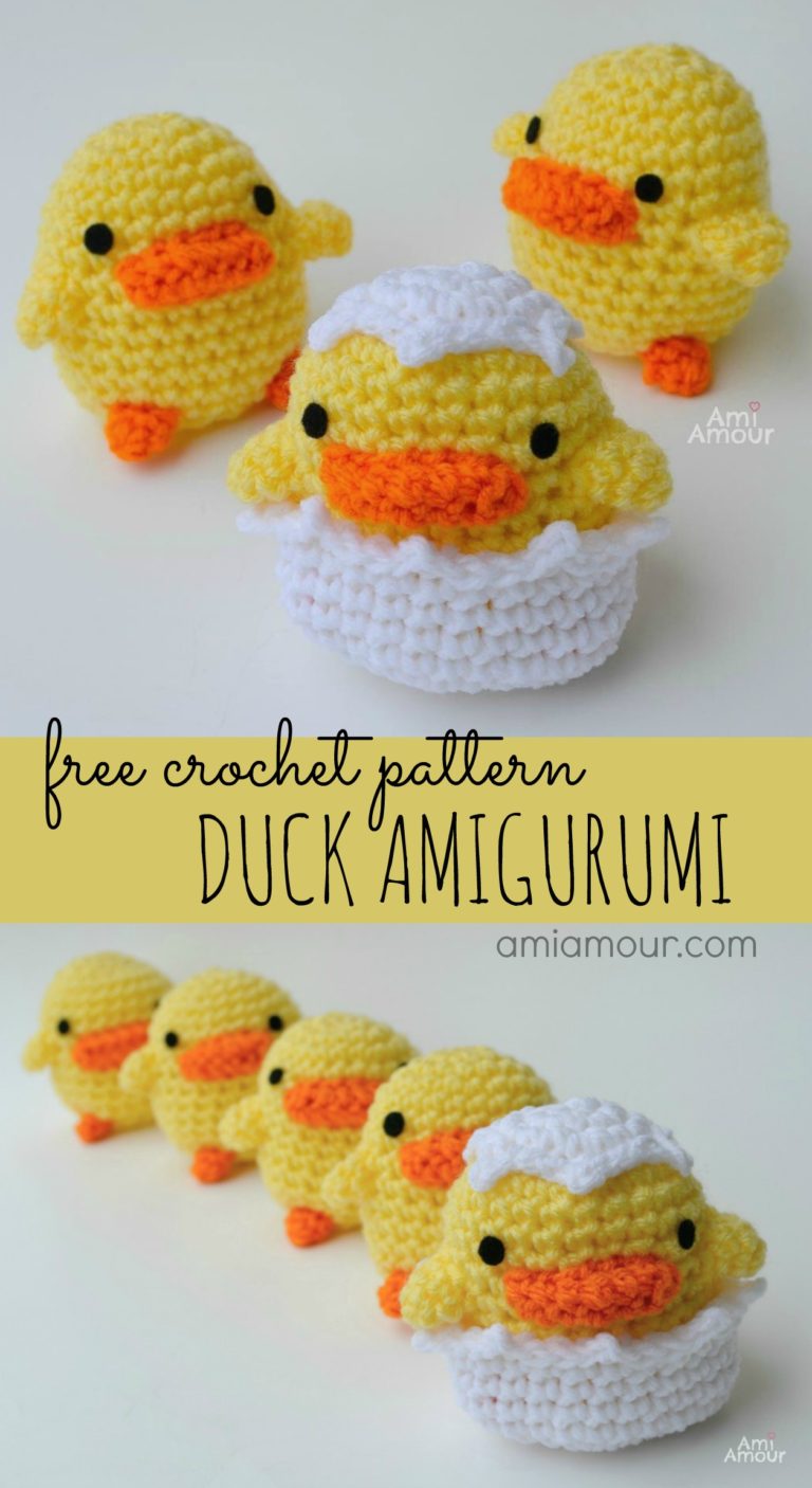 Duck Amigurumi Pattern "Fair is Fowl" - Ami Amour