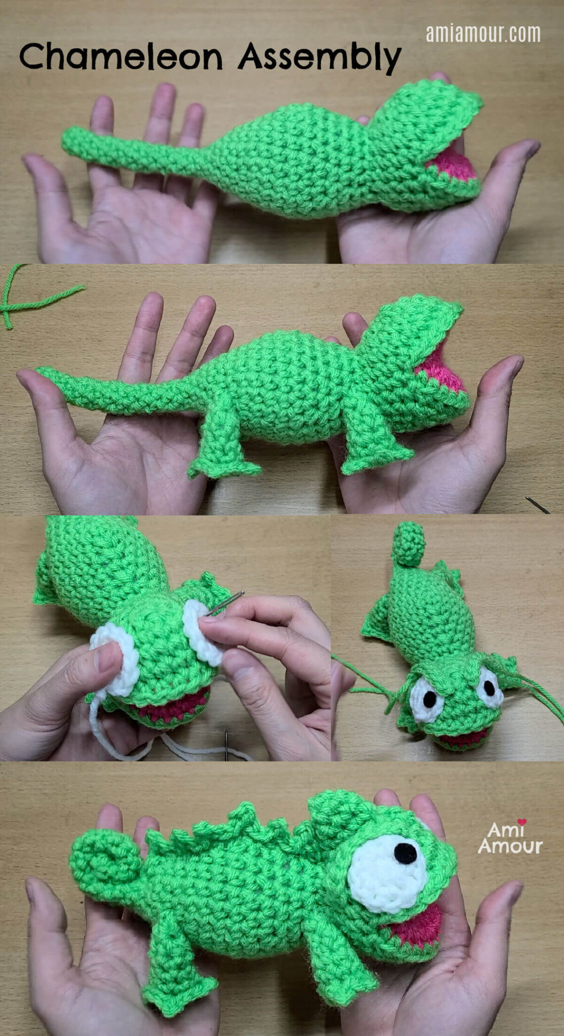 Chameleon Crochet Pattern - Pascal Amigurumi - FREE - Ami Amour
